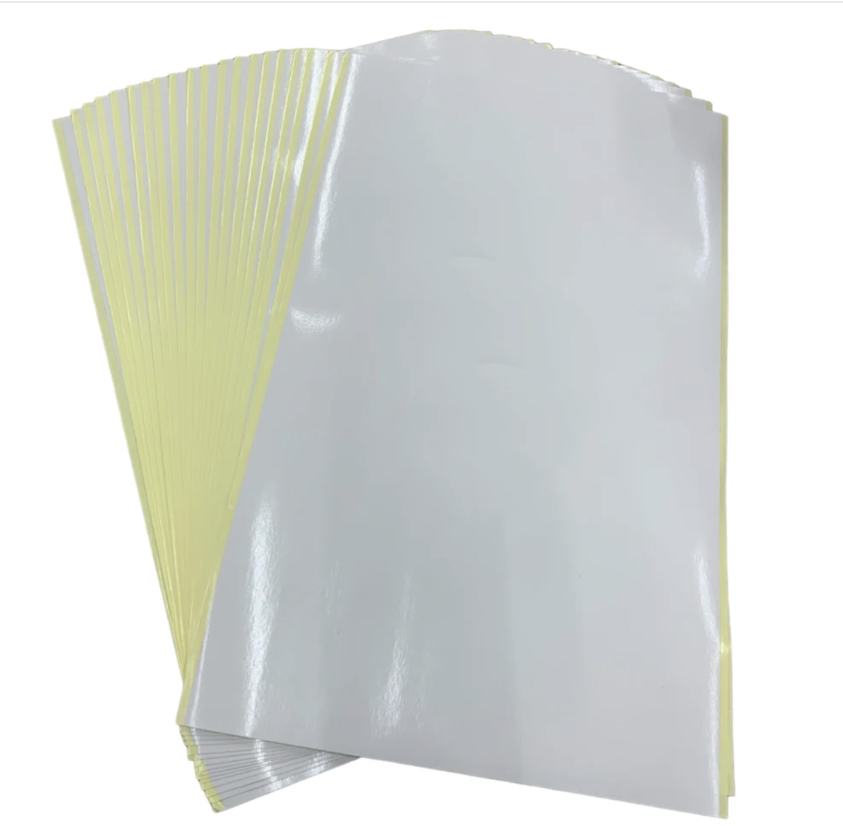 DualTite Adhesive Sheets 12" x 20" – Houston Acrylic